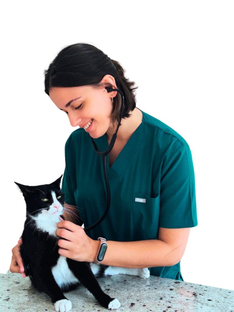 Hakkımızda - Yula Uniform